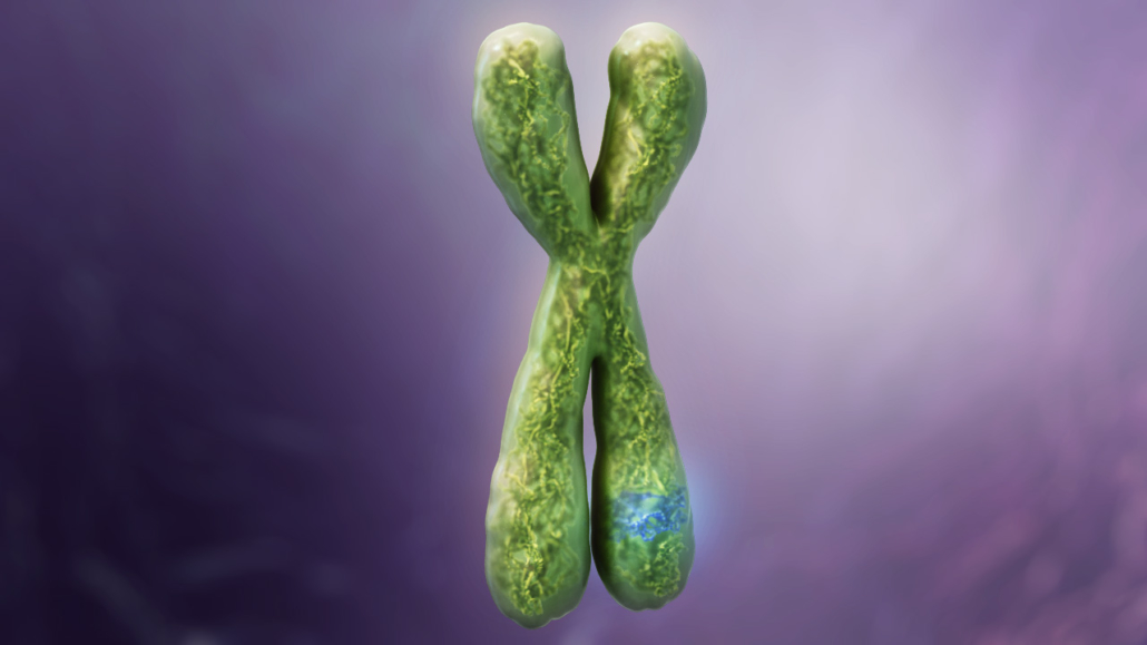 Rare Disease Awareness Animation - CAST PHARMA