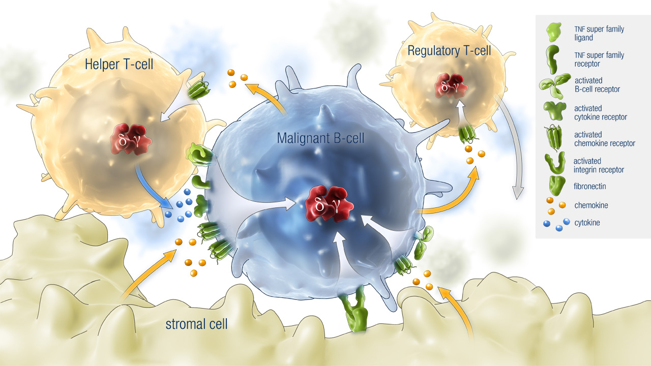 Targeting Heme Malignancies Animation - CAST PHARMA