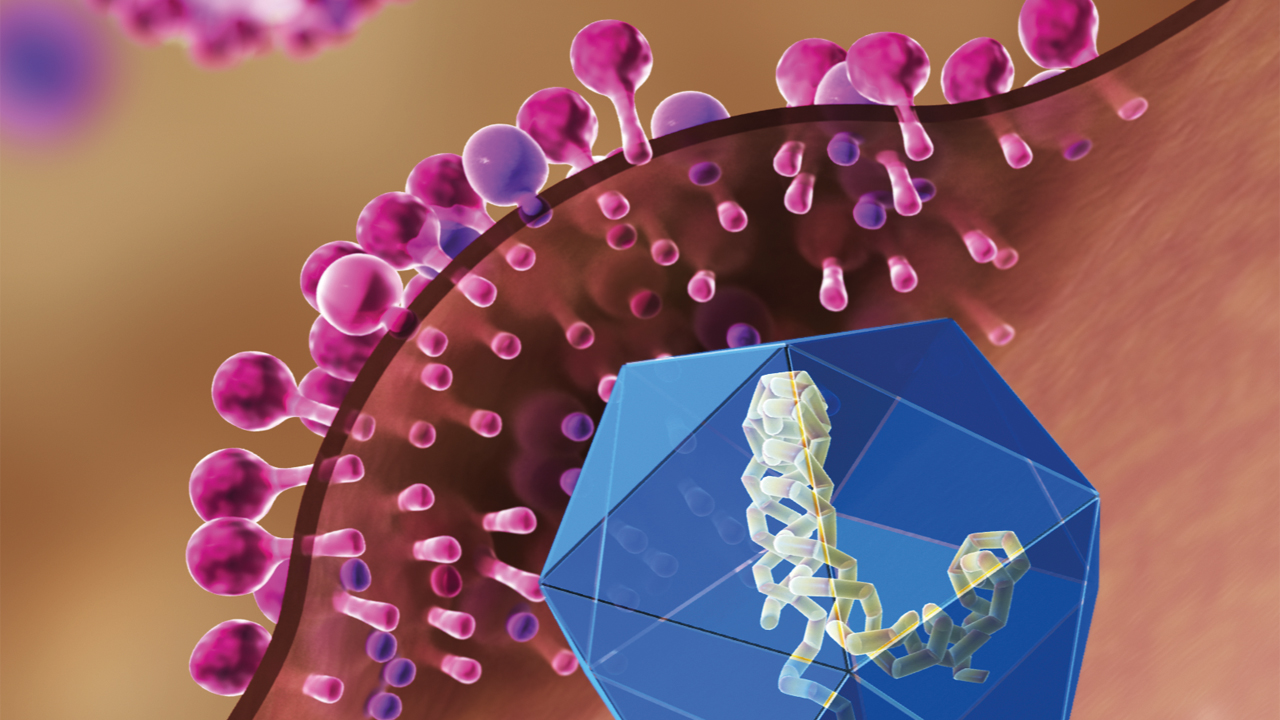 Hepatitis B Treatment – CAST PHARMA