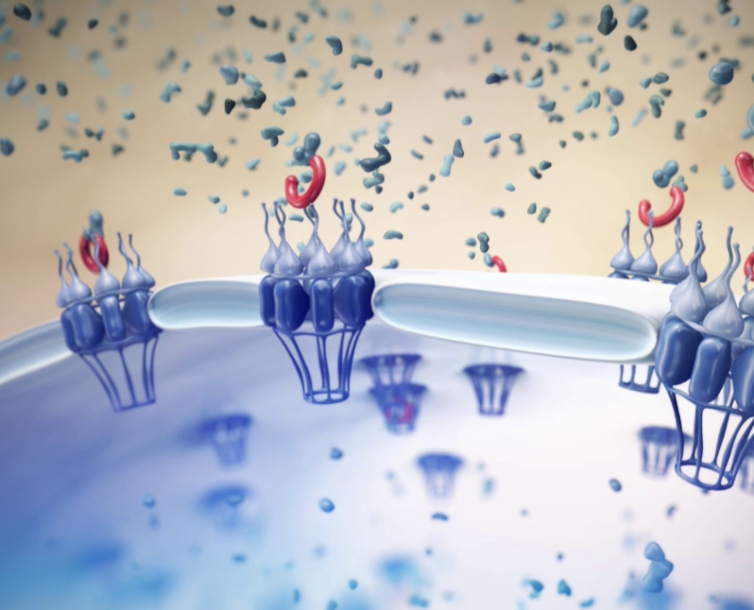 A holistic, encompassing approach Animation - CAST PHARMA