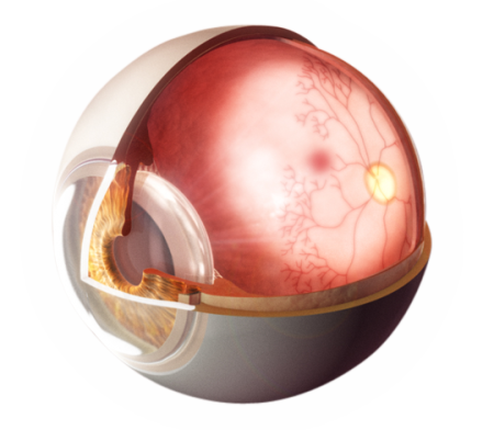 Taking a Closer Look at ROP – CAST PHARMA