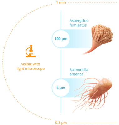 Off-The-Shelf eLearning Courses – CAST PHARMA