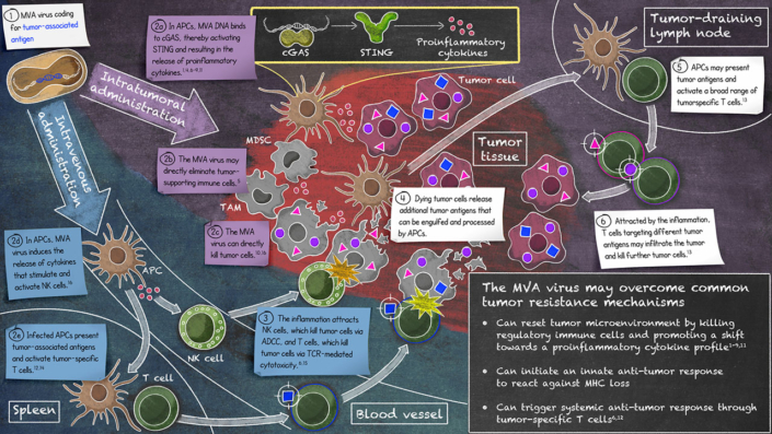 Medical illustrations, pharma infographics, and graphical abstracts ...