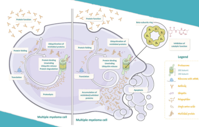 Medical illustrations, pharma infographics, and graphical abstracts ...