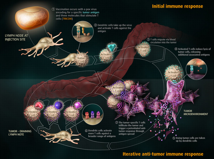 Medical illustrations, pharma infographics, and graphical abstracts ...