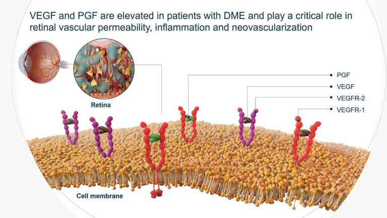 Medical illustrations, pharma infographics, and graphical abstracts ...