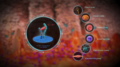 Visual Storytelling for Medical Learning & Training – CAST PHARMA